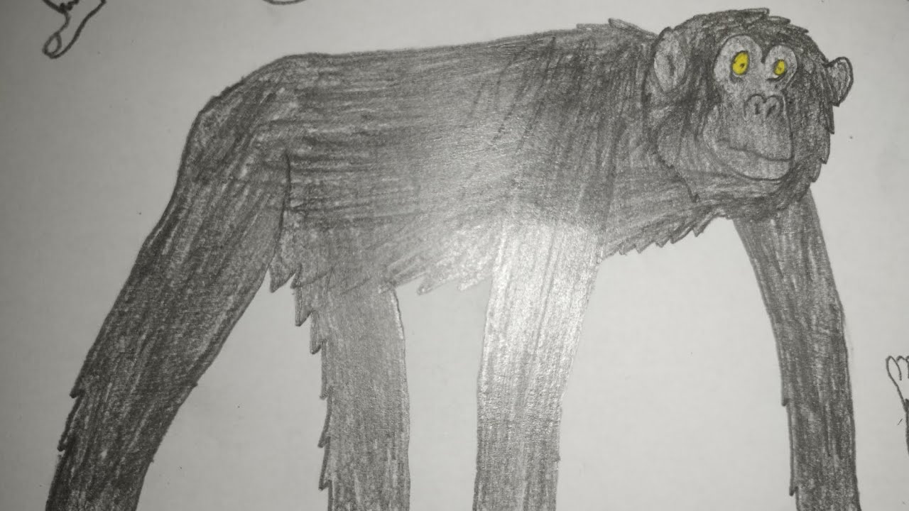 Sound Effects-Eastern Howler Chimpanzee - YouTube