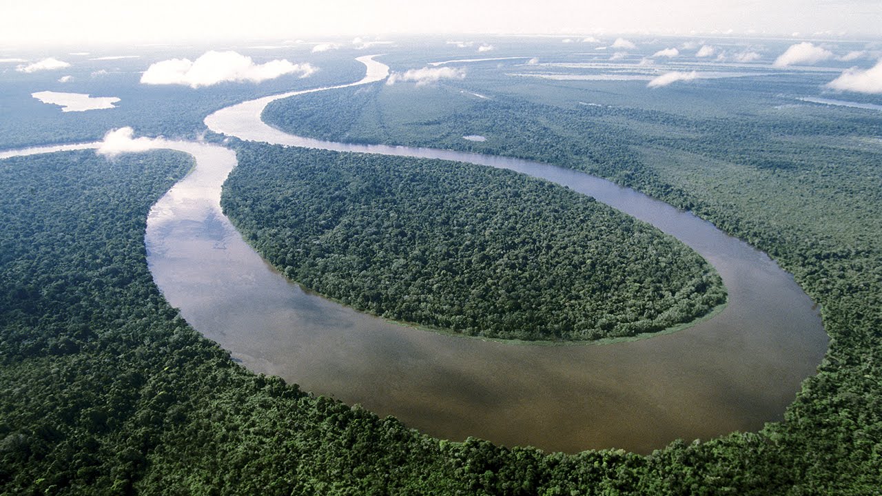 José Márcio Ayres, Rolex Laureate, 2002 - YouTube