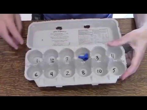 Egg Carton Math - A Fun Addition & Multiplication | Game for Kids - YouTube
