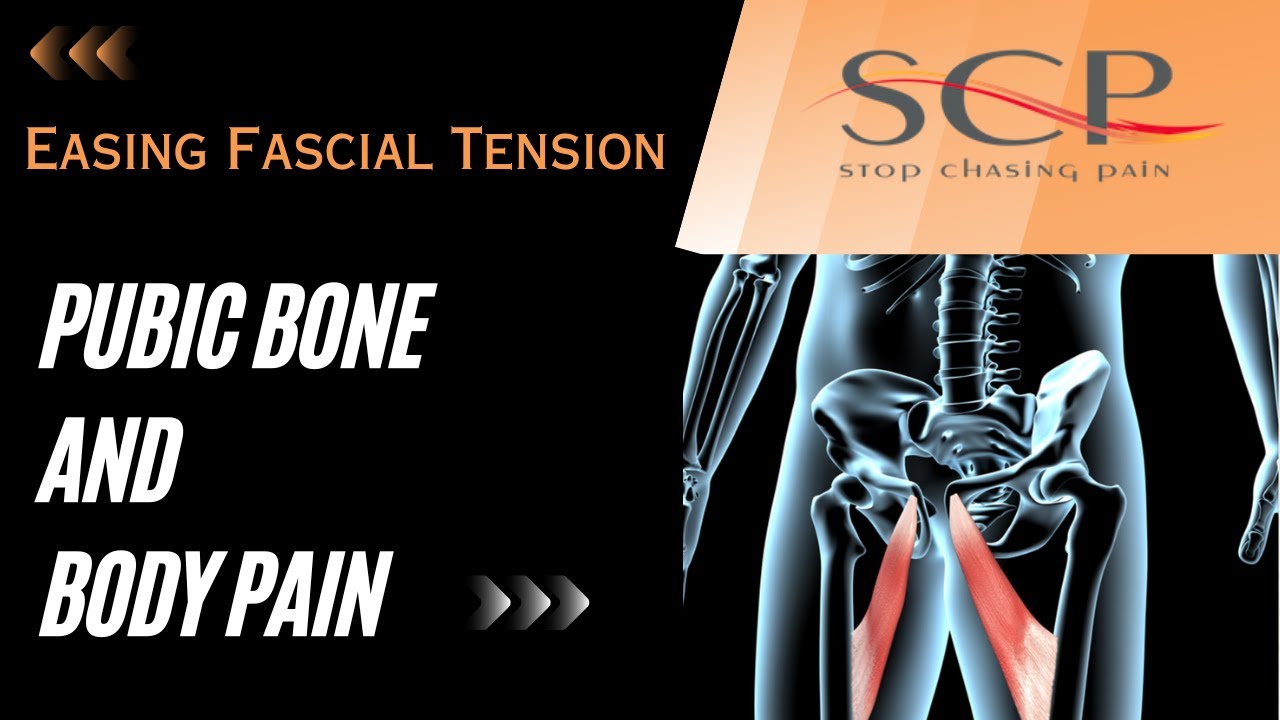 Pubic Bone And Body Pain YouTube pubic-bone-and-body-pain-youtube