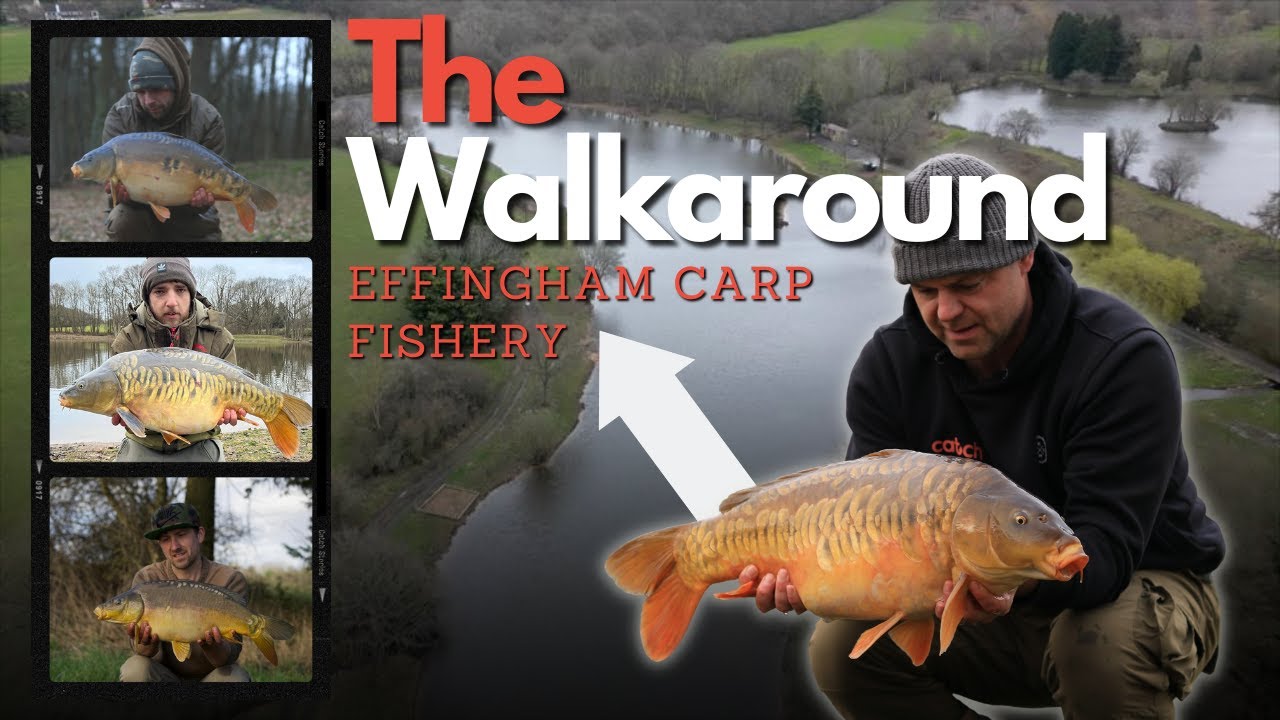 Effingham Carp Fishery | Carp Fishing In Surrey | Carp Fishing Day ...
