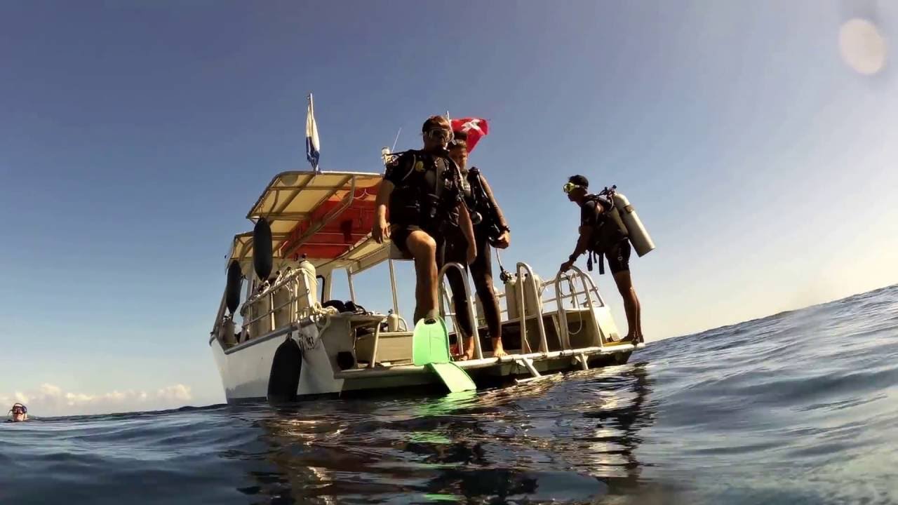 French Polynesia Scuba Diving - VIRB0021 - YouTube