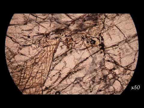 Une autre lame de péridotite vue au microscope polarisant - YouTube