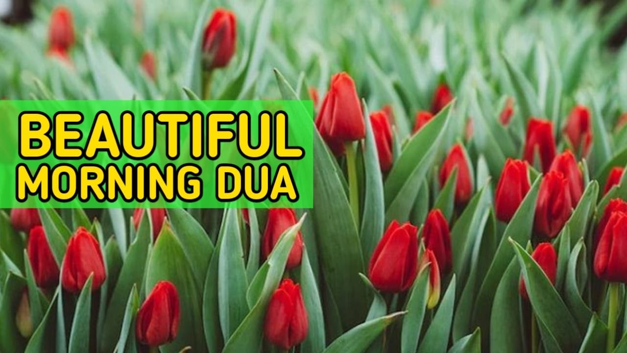 Morning Dua for Protection, Prosperity, Blessing, Guidance | Powerful ...