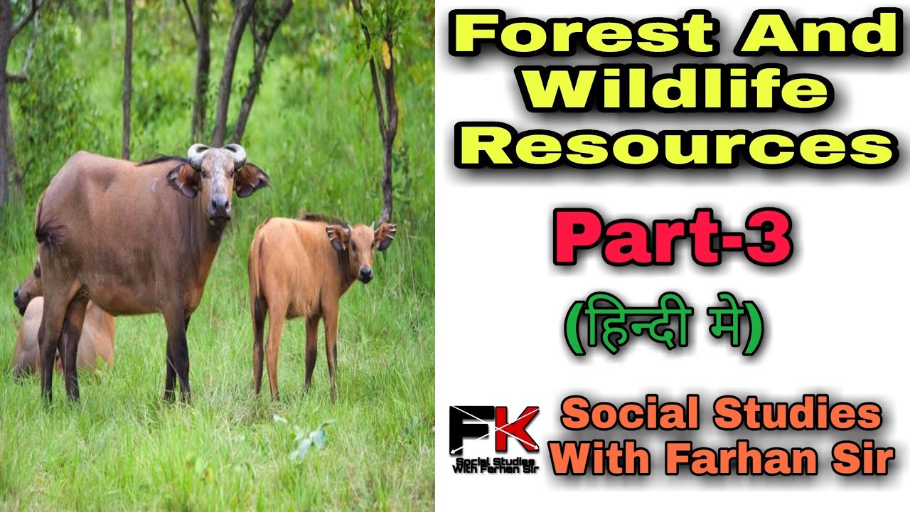 Ncert Class 10th Geography Chapter 2nd:- Forest And Wildlife Resources ...