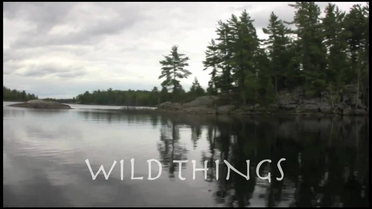 'Wild Things' Trailer - YouTube