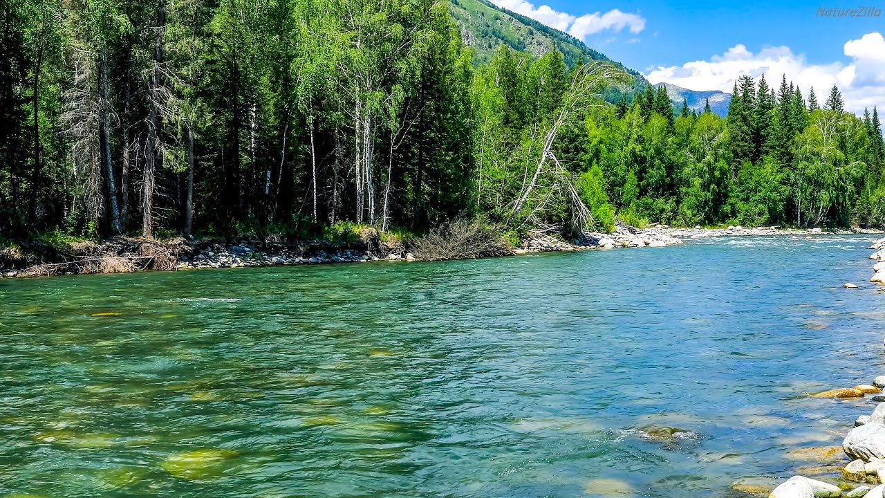 Tranquil River Flowing Through Sonic Nature |10 Hours of Running Water River Sounds for Sleep ...