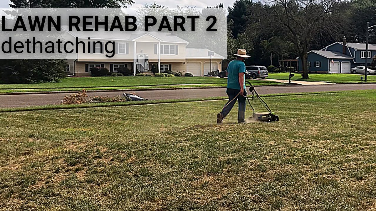 Project Lawn - The Easy Way to Dethatch a Lawn - YouTube