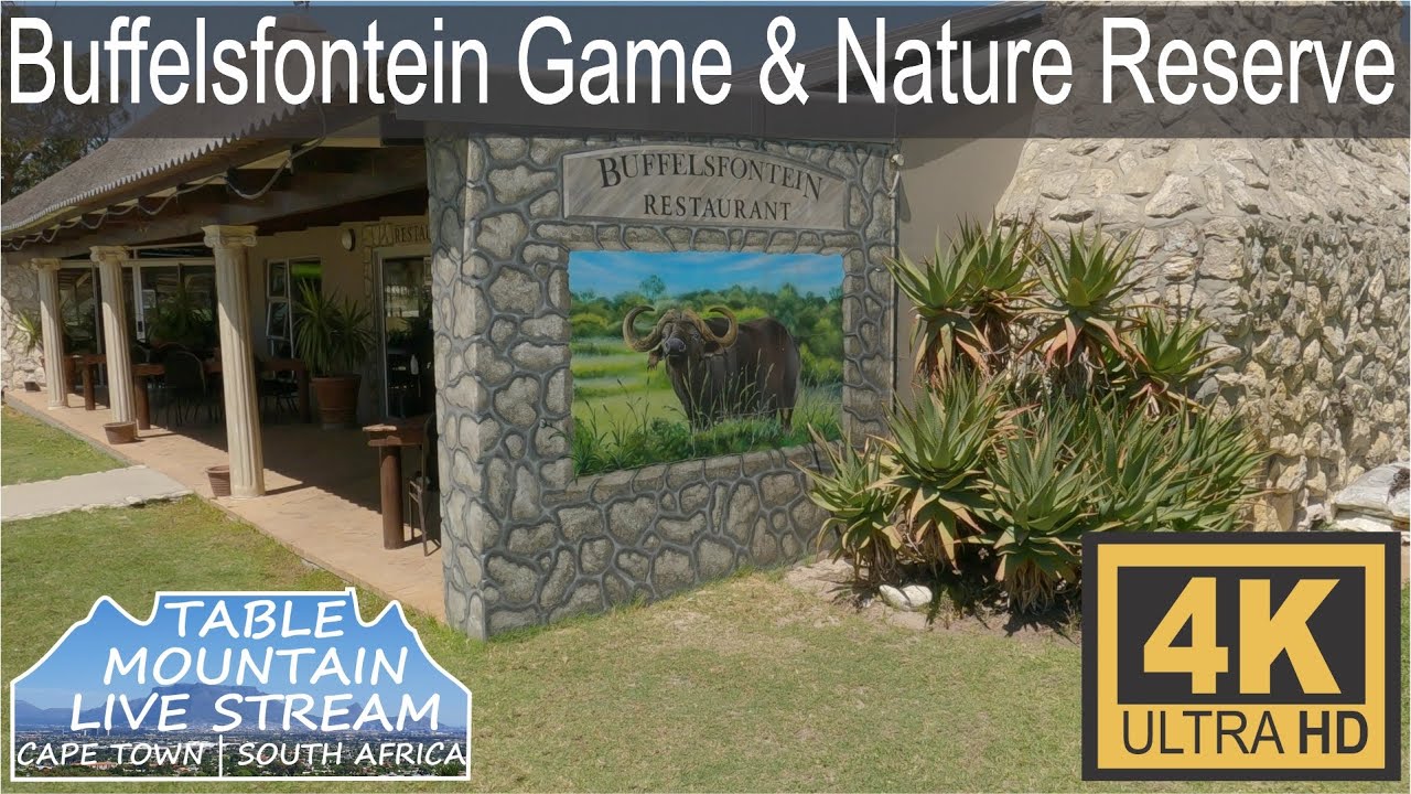 Buffelsfontein Game & Nature Reserve 4k - YouTube