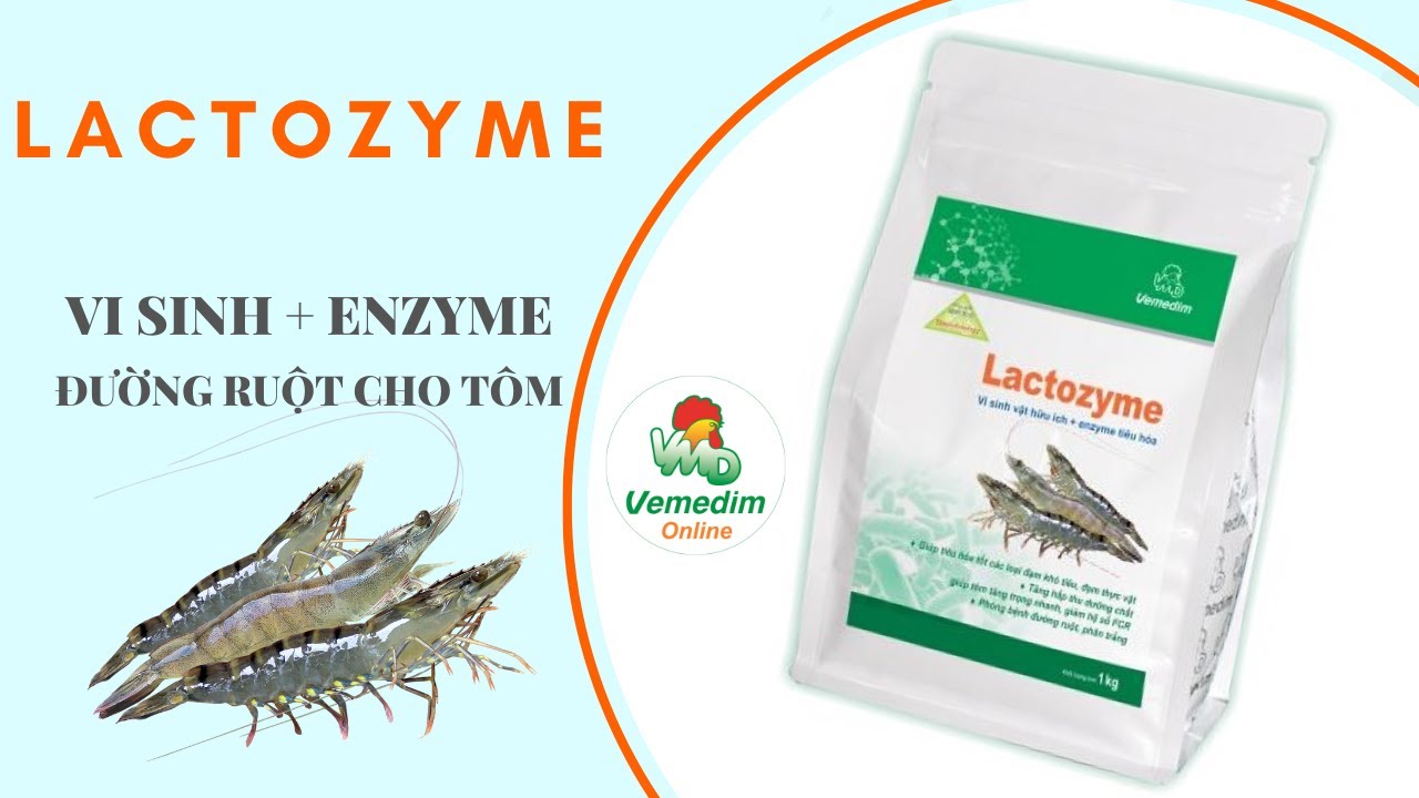 LACTOZYME - Vi sinh đường ruột cho tôm| VEMEDIM - YouTube