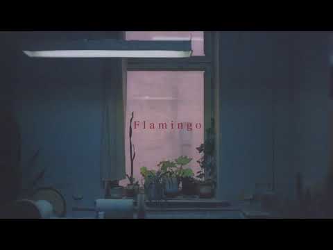 Flamingo／rei shirose - YouTube