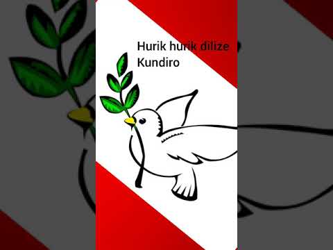 Hurik Hurik Dilize--Kundiro tiktok sarkilari