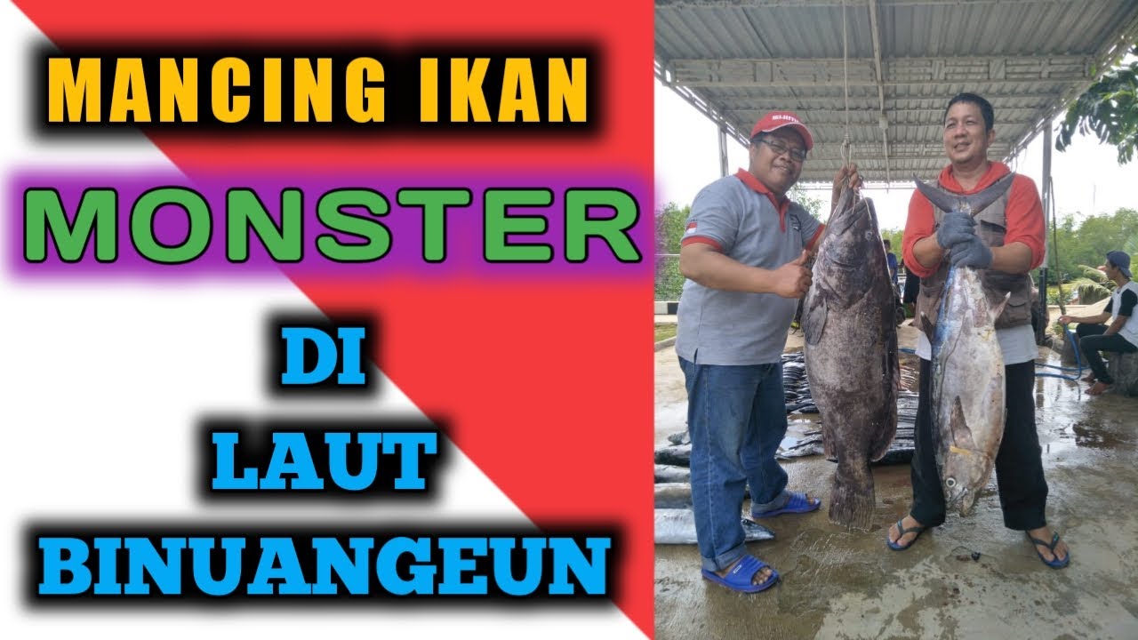 MANCING IKAN MONSTER DI LAUT BINUANGEUN WITH KM AMBERJACK #Part02 - YouTube