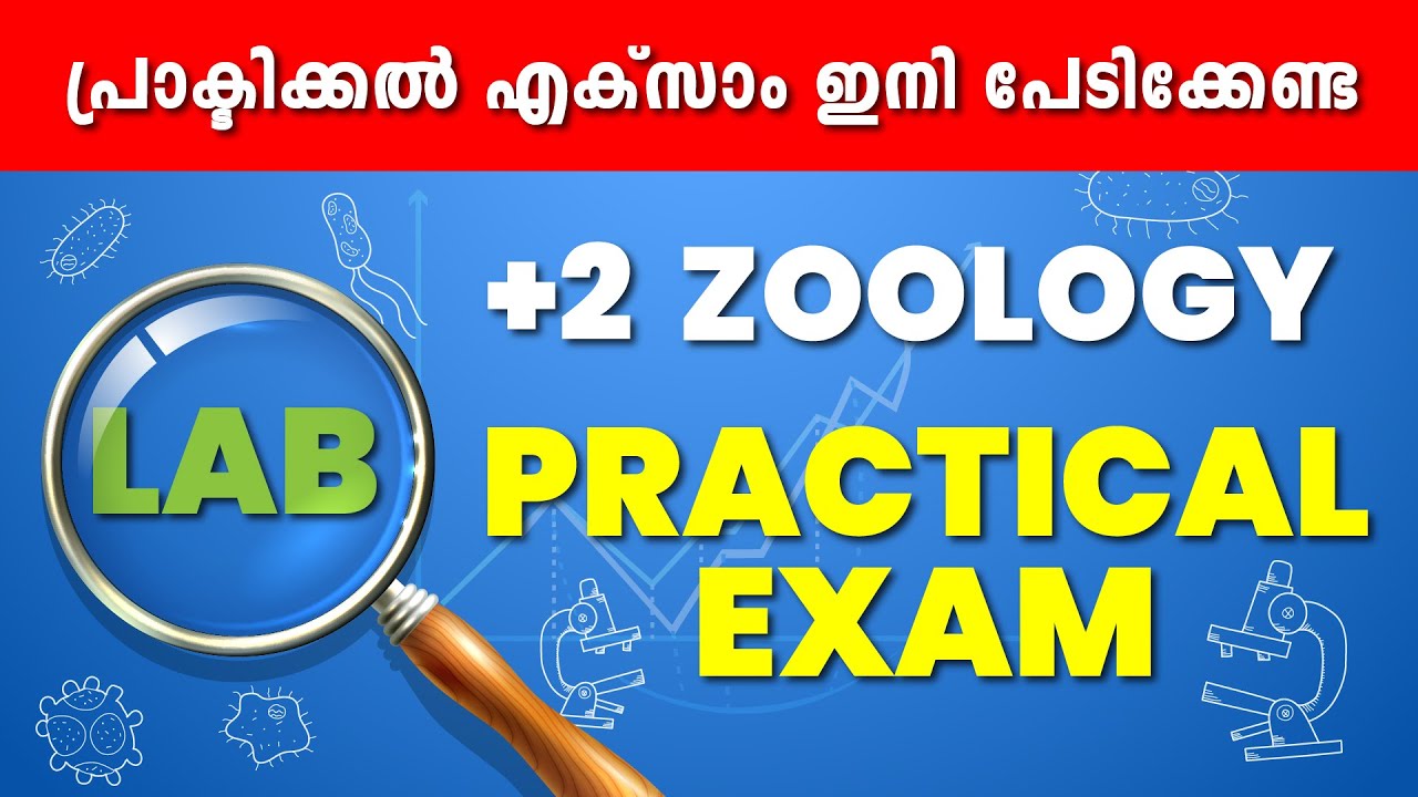 Plus Two Public Exam | +2 Lab Exam | Zoology Lab | Revision Class ...