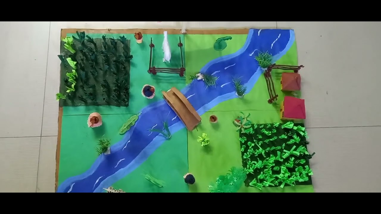 Model making|Habitat of plain area|Science project - YouTube