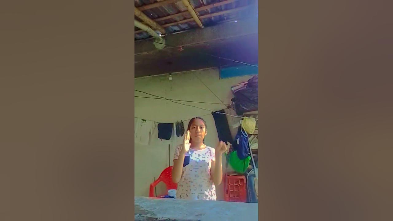 24 de agosto de 2024 - YouTube