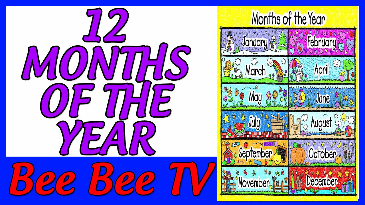 Months Of The Year Song - Bee Bee TV - YouTube