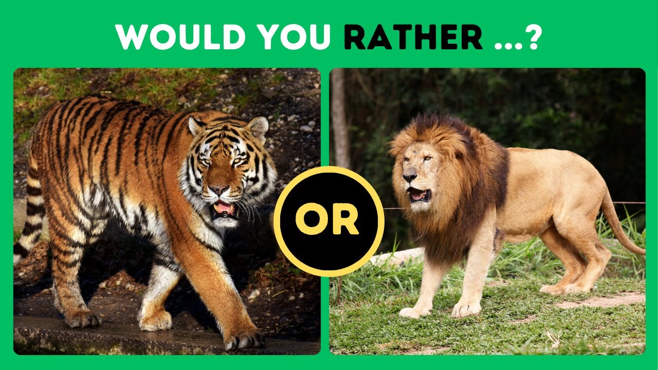 Would you rather....? - Animals Edition - YouTube