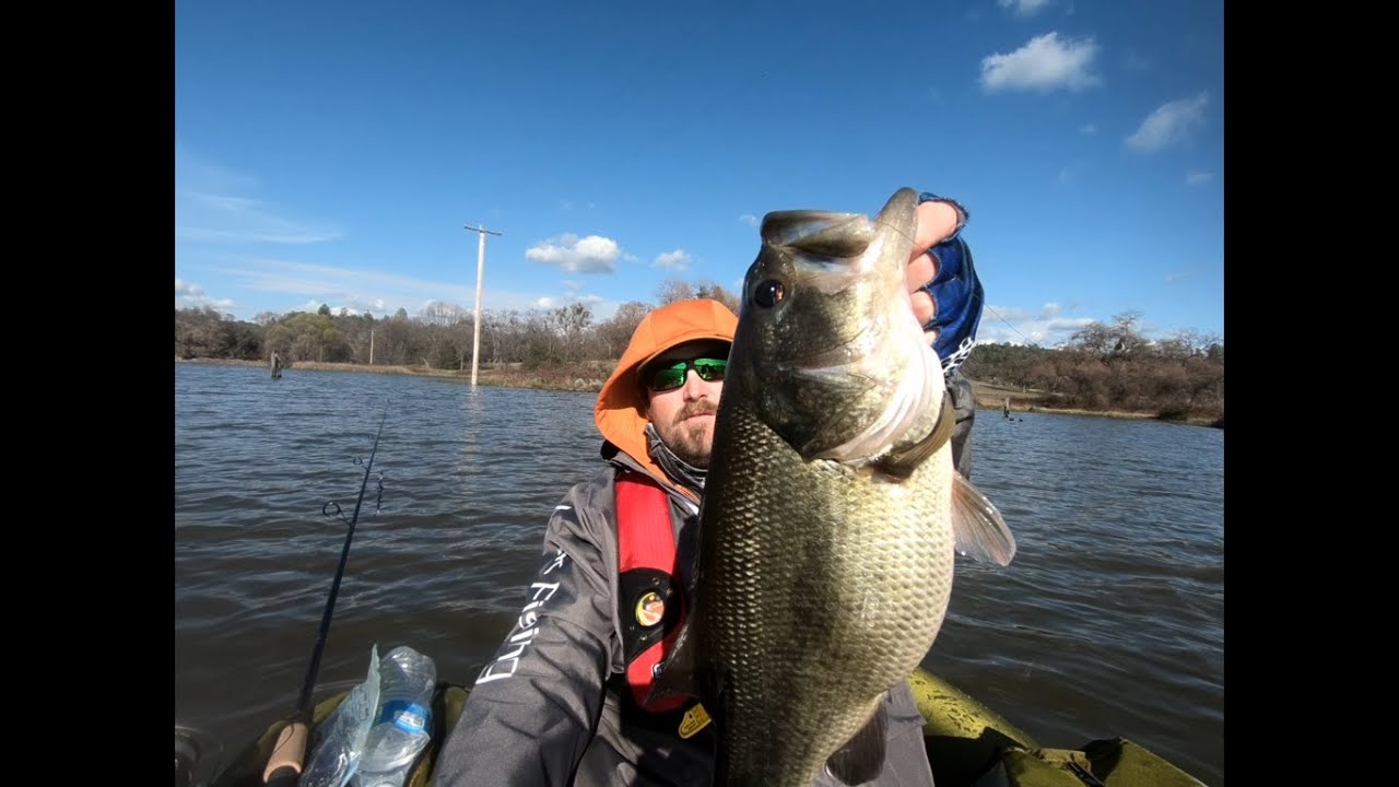 CALIFORNIA Pond Fishing for Monster Northern Strain Bass During ...