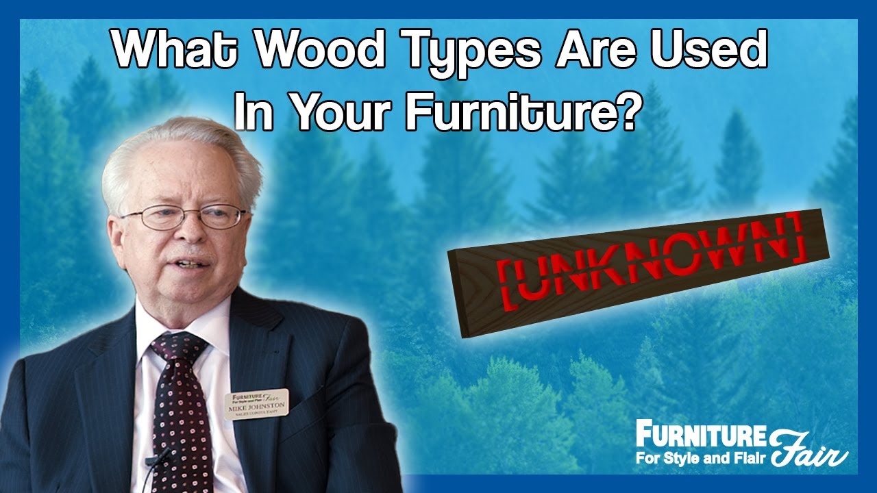 What Type Of Wood Is BEST For Me Hardwood Vs Softwood Vs Plywood
