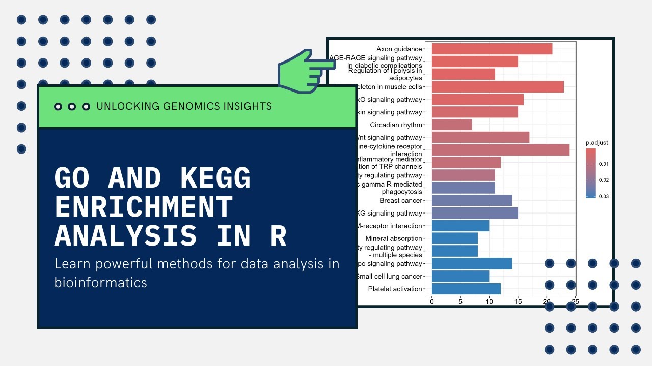 GO & KEGG Enrichment Analysis in R | Genomics Data Analysis Full Course ...