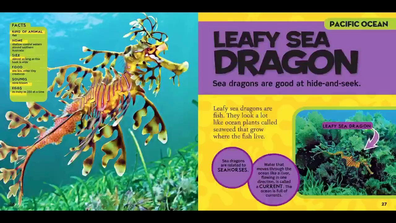 Ms. Alex reads about Leafy Sea Dragons (Coloring Page) - YouTube