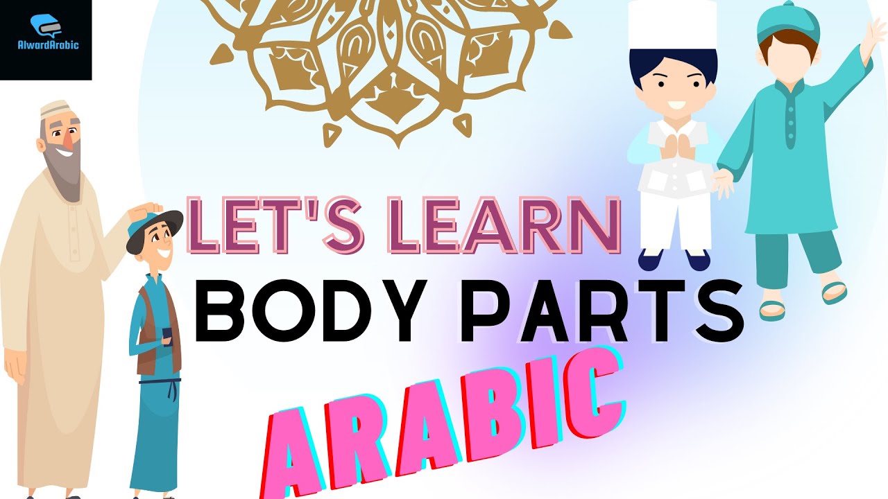 Human body parts in Arabic for beginners , Arabic vocabulary for kids ...