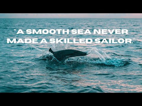 [Sea] 6 famous quotes and lyrics related to the sea that can touch people's hearts