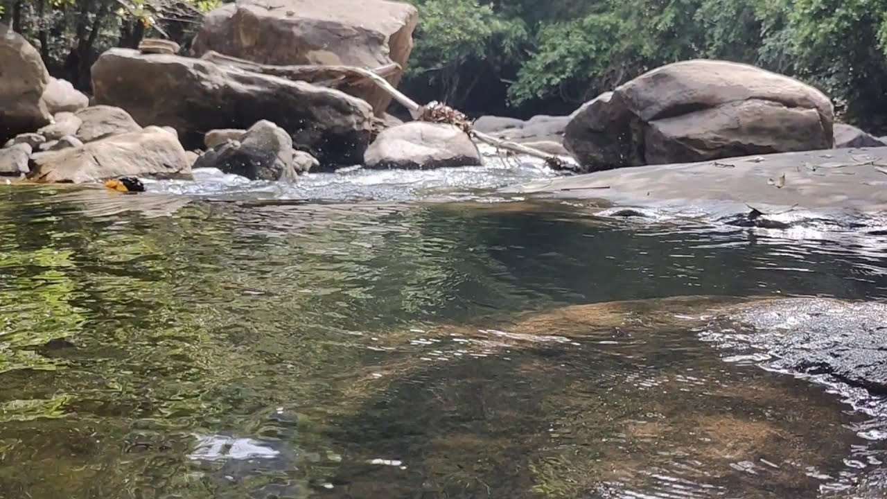 Kerala waterfalls | waterfalls in Thodupuzha | Exotic locations in ...