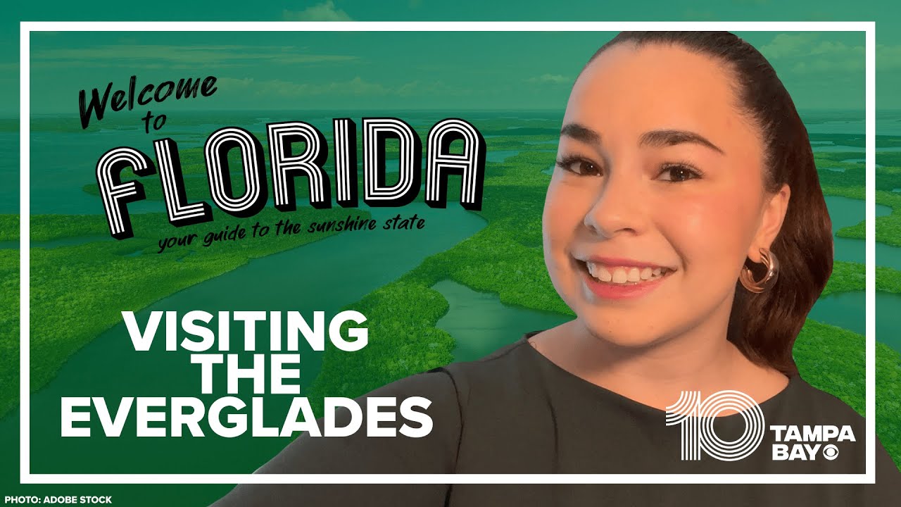 Planning a trip to the Everglades? Here’s what you need to know - YouTube