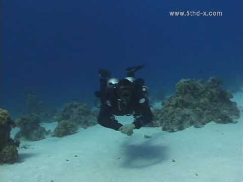 (5thD-X) Essentials Of Technical Diving (Stages - Proper Trim With ...