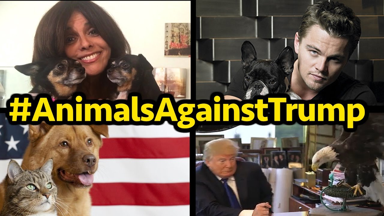 Animals Against Trump | Moby, Russell Simmons, Leonardo DiCaprio ...