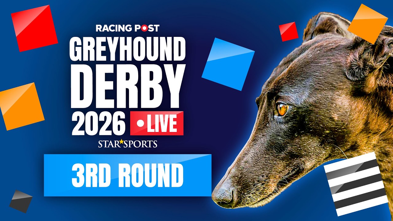 Greyhound Derby Watchalong | Round 3 | Racing Post & Star Sports - YouTube