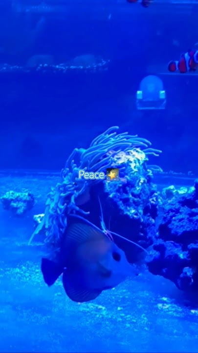 Catch me in 5D - YouTube