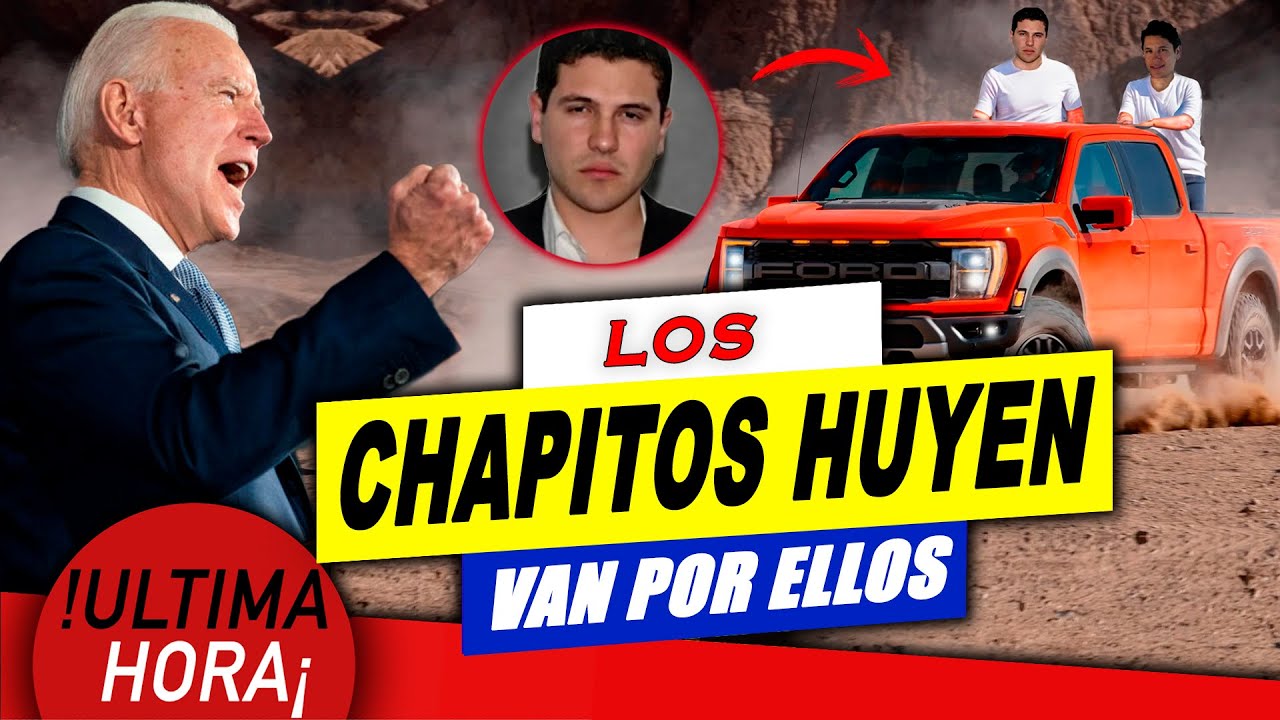 🔴Hermanos Guzman ATERRADOS tras SU INEVITABLE CAPTURA. 🔥🔥 - YouTube