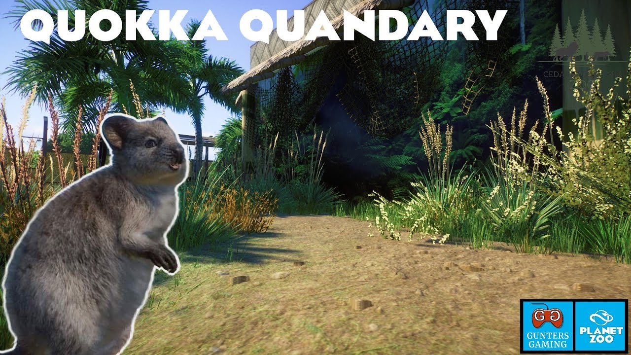 Quokka Utopia Unveiled | Cedarbrook Park Zoo | Planet Zoo - YouTube