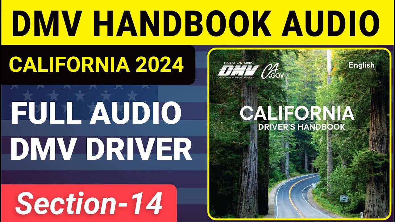 California Drivers Handbook 2024 SECTION-14 | DMV Handbook California ...