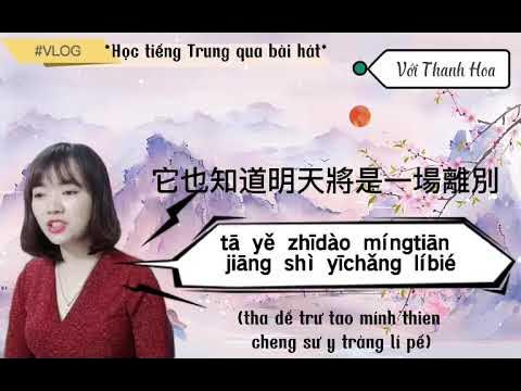 别知己 (bie zhi ji) Biệt tri kỷ - Tạm biệt bạn tri kỷ- Học tiếng Trung qua bài hát với Thanh Hoa HG ...
