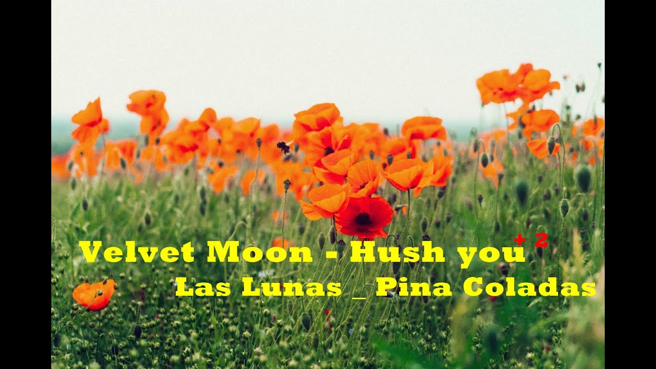 Velvet Moon - Hush you +3 other songs - Fresh music mix every Saturday ...