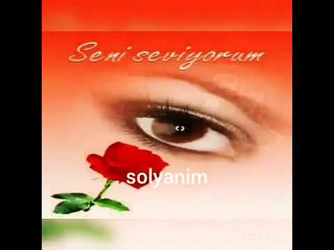 Arapça müzik sevenler