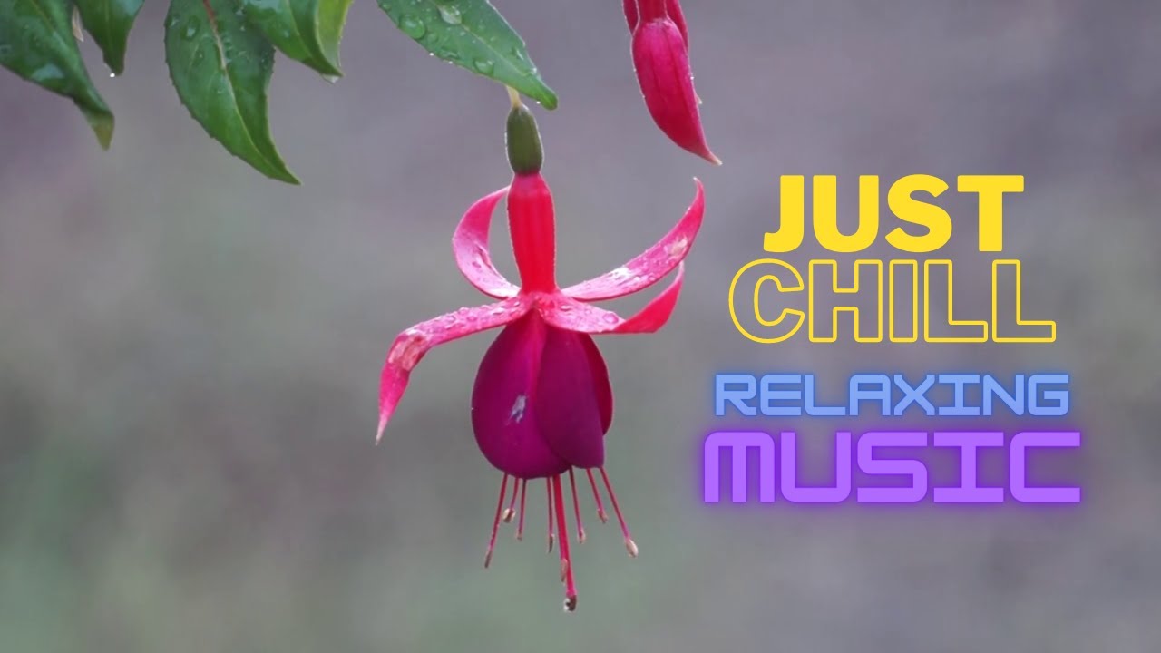 "Just Chill" Relaxing Music | No Ads | Nature & Birds | 1 Hour | Calm ...
