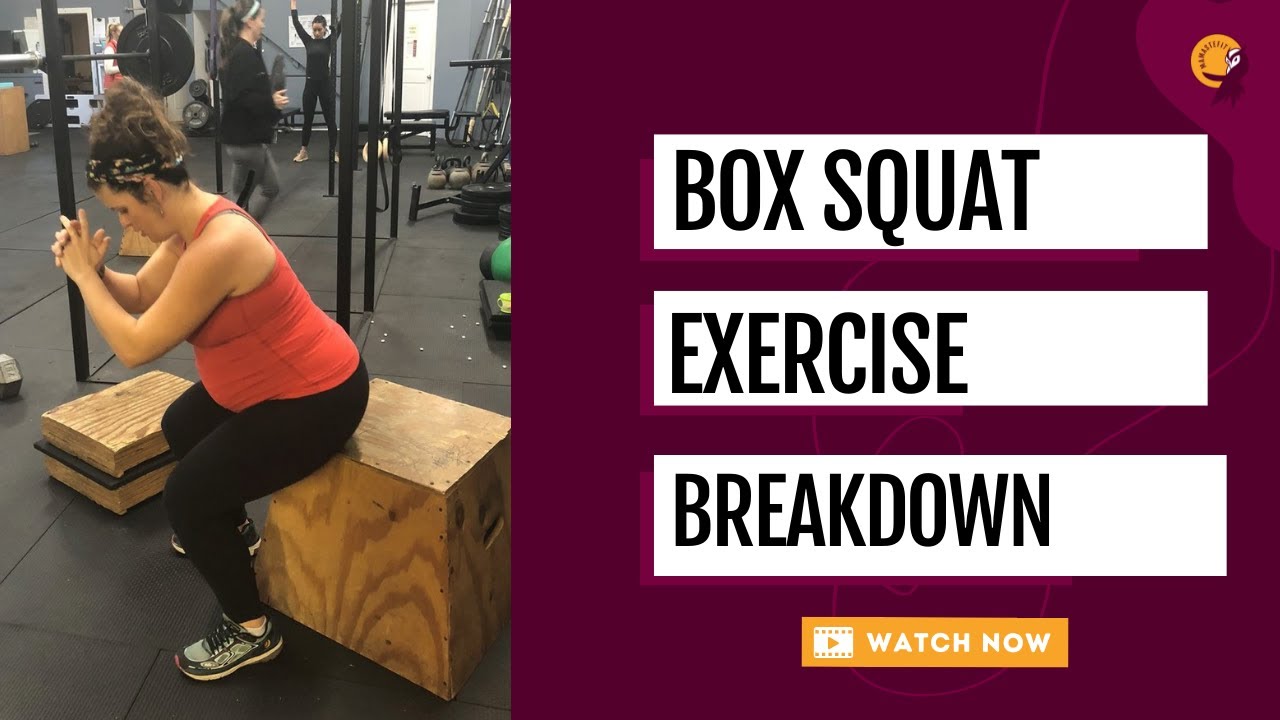 Box Squat Breakdown - YouTube