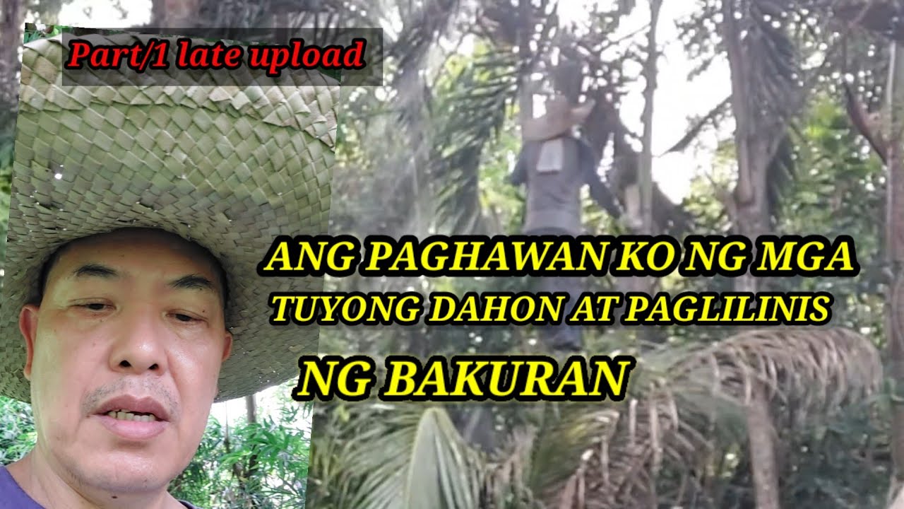 part/1 NAGHAWAN AKO NG MGA TUYONG DAHON NG MGA NIYOG NIYOGAN ...