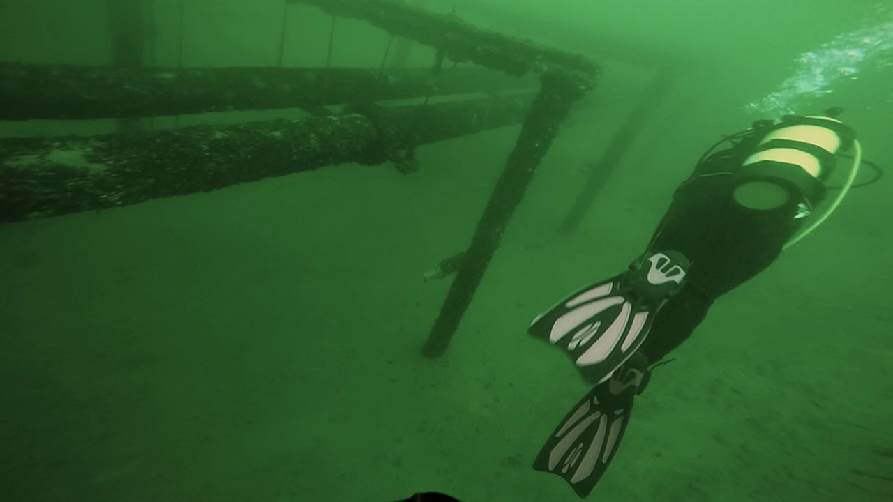 Scuba Diving at Dutch Springs 8-5-2019 - YouTube