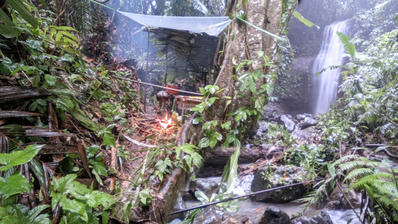 Build Shelter Under a 100 Year Old Tree. Survive With Rain, enjoy the ...