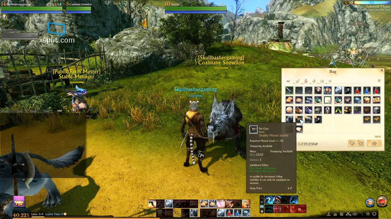 Archeage How to Get Armor For Your Pet - YouTube