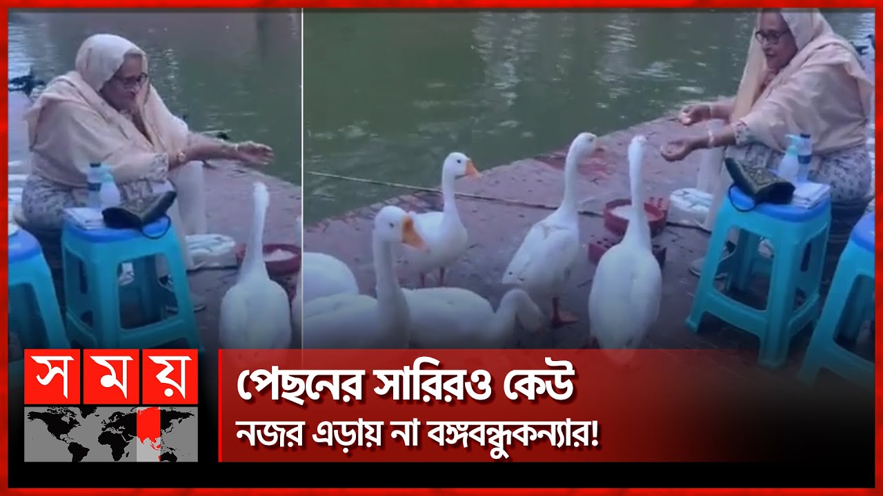 মেয়ে সায়মা ওয়াজেদের তোলা ছবিতে মমতাময়ী প্রধানমন্ত্রী | Sheikh ...