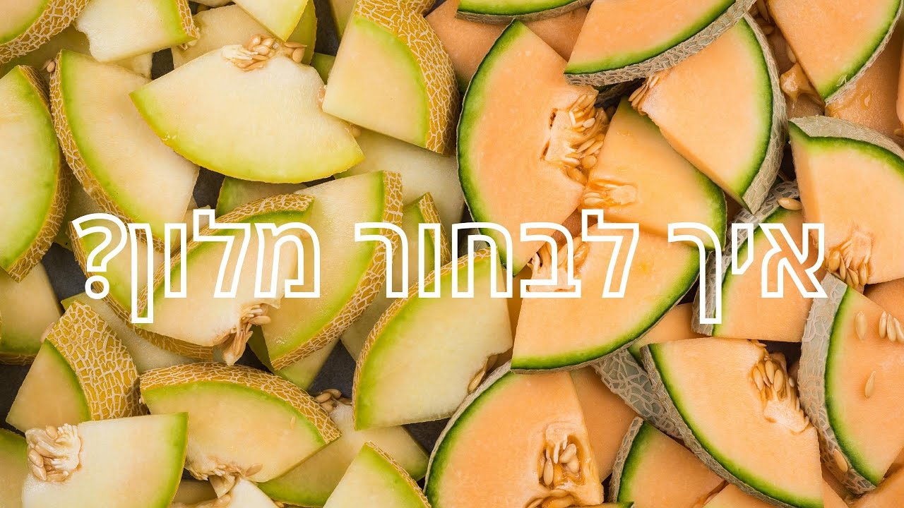 איך לבחור מלון טעים ומתוק? Mastering Melon Selection: How to Pick the ...