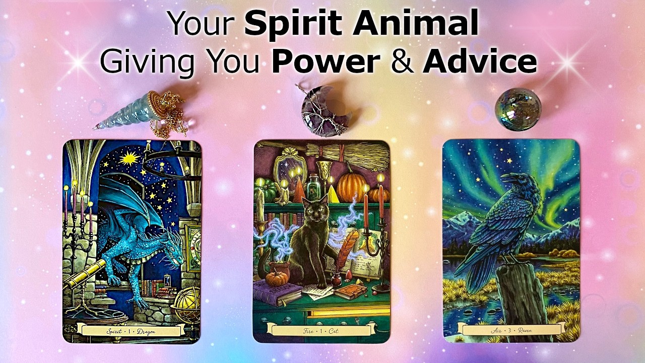 🐉 Helpful Information & Special Powers from Your Spirit Animal 🐈‍⬛ ...
