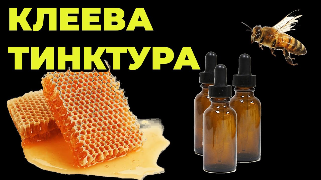 Как да си направим клеева тинктура Youtube